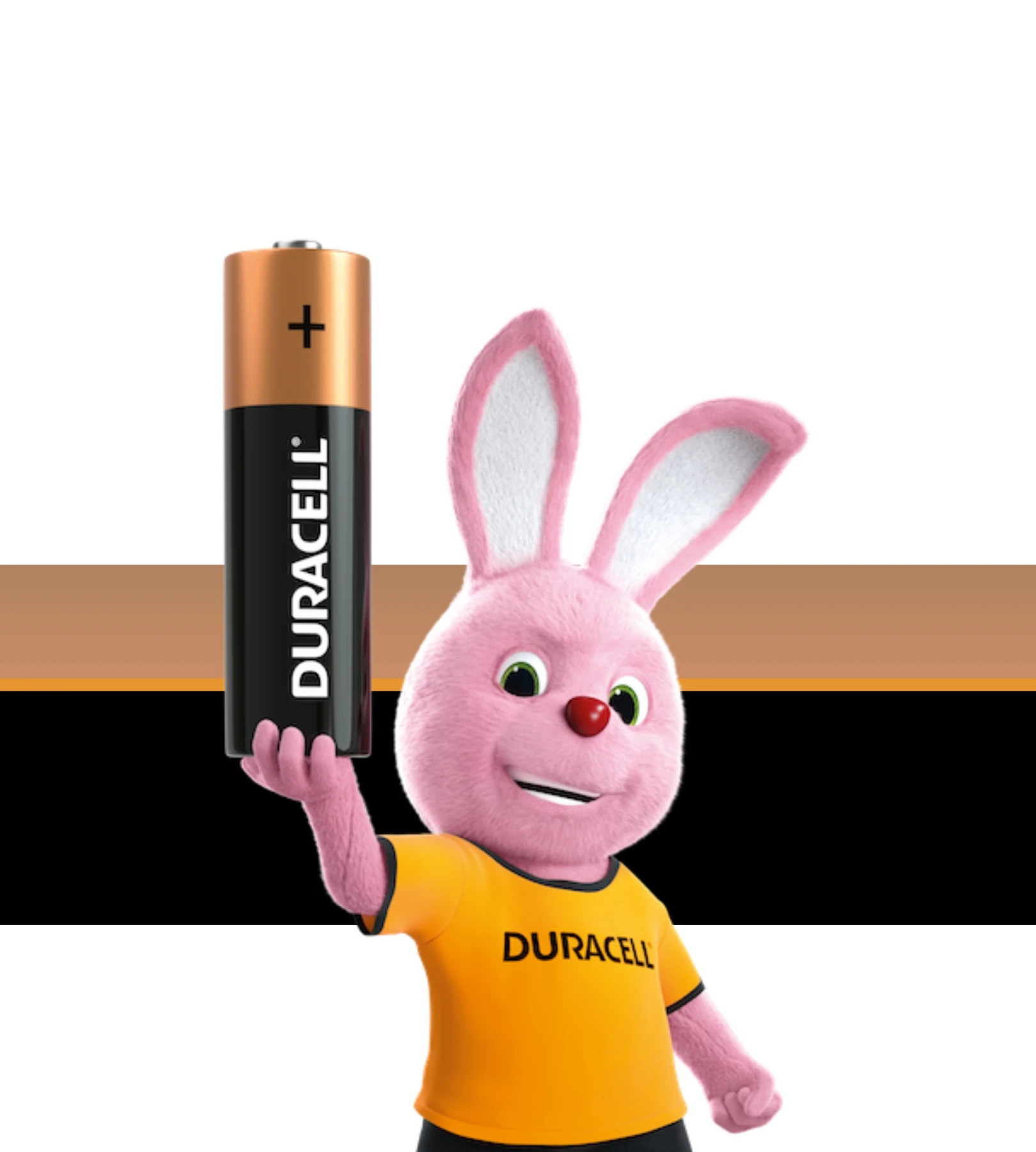 Duracell alkalne baterije | eApoteka