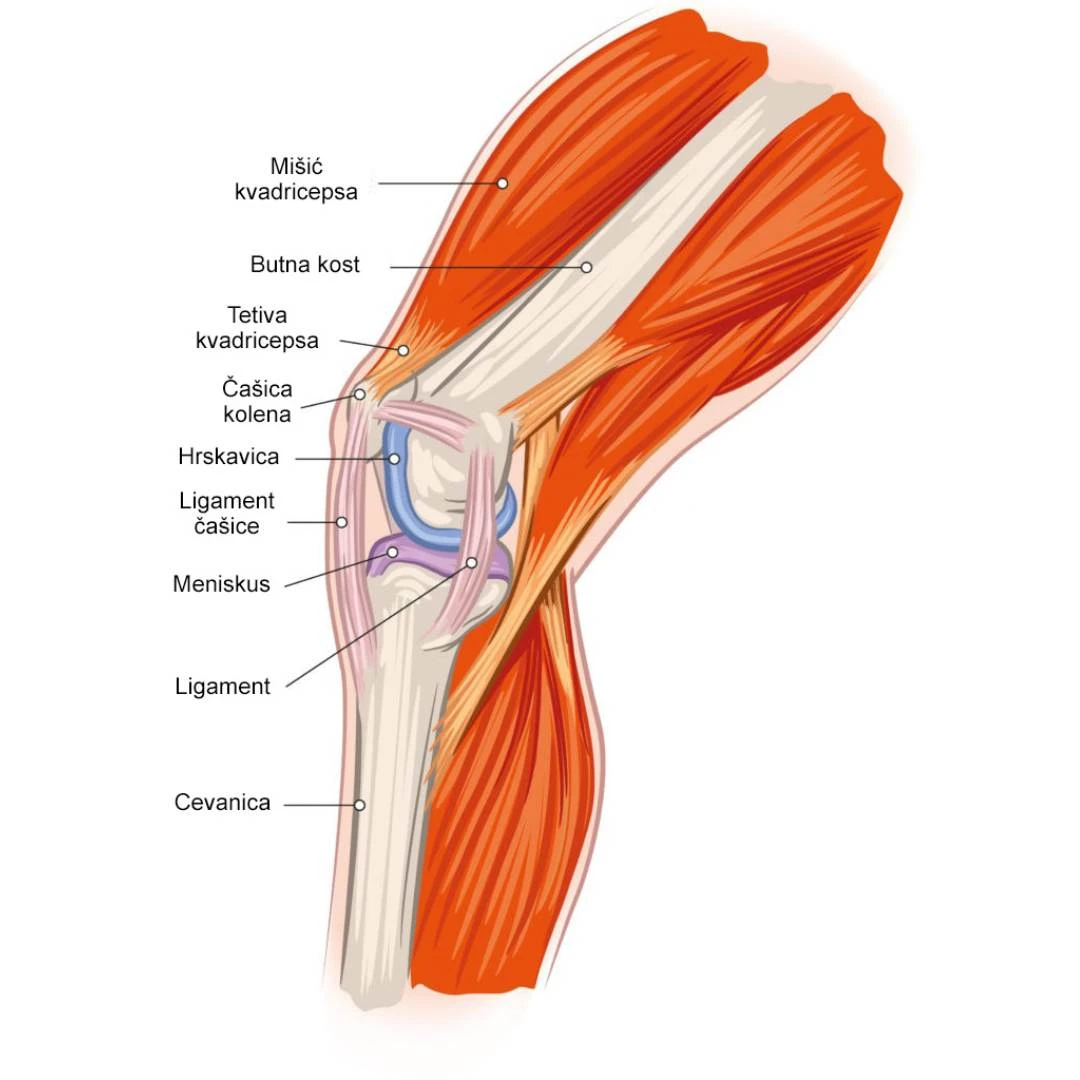 Medisana AlpenFlex Complex 40 Tableta za Zdravlje Zglobova i Hrskavice ...