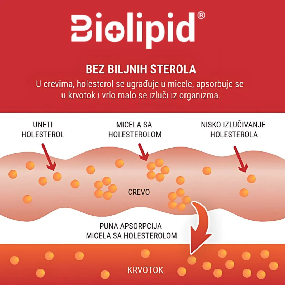 Biolipid 10 Kesica za Regulaciju Nivoa Holesterola i Triglicerida u ...