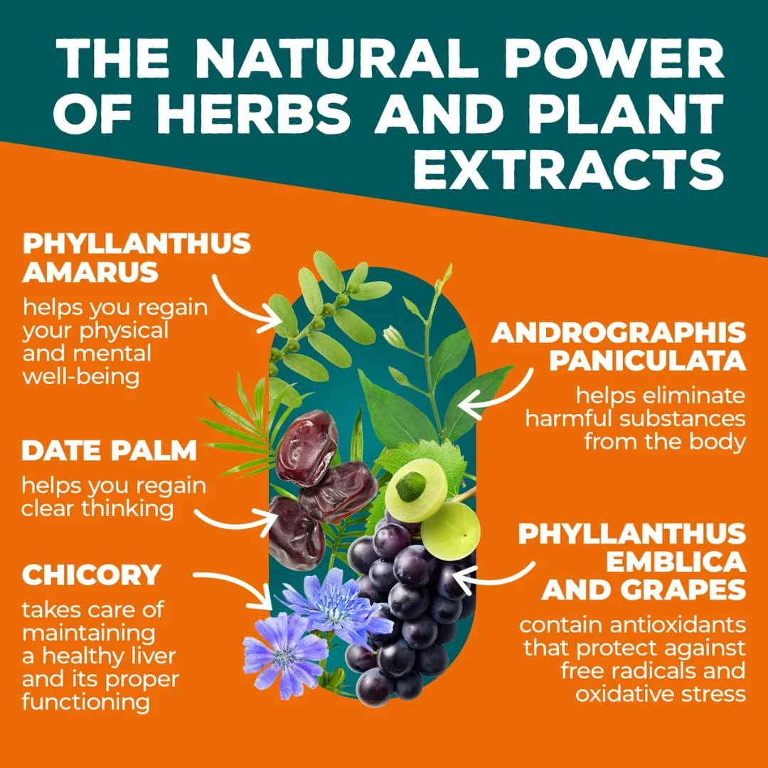 Himalaya® PartySmart® 10 Kapsula Party Smart Protiv Mamurluka, | eApoteka