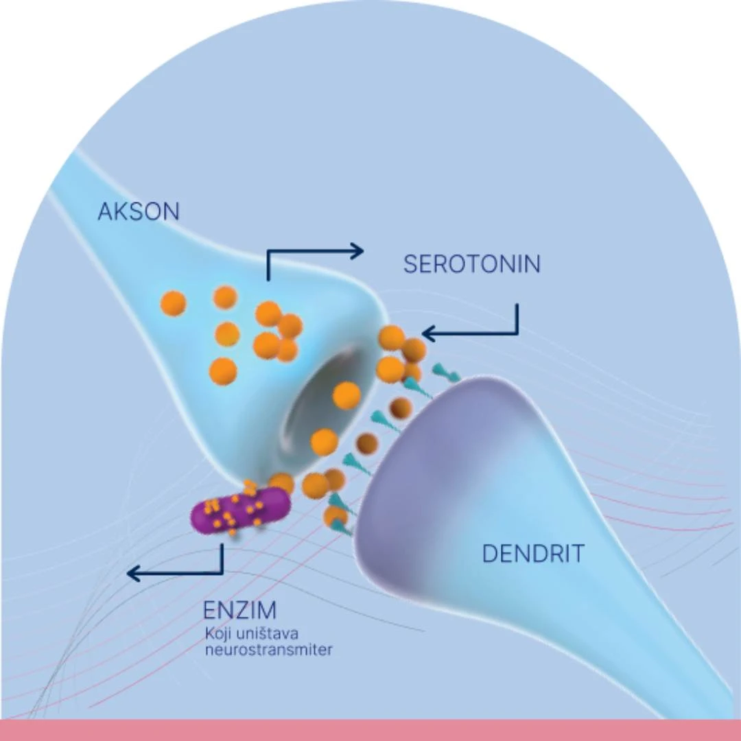 Sérélys® MENO 30 Kapsula; Ublažava Tegobe Menopauze, | eApoteka